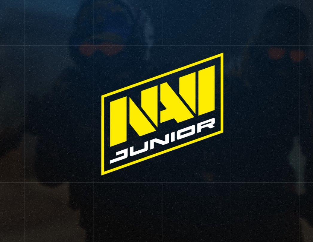 The NAVI team unveiled their new academic lineup in CS2. CS:GO news ...